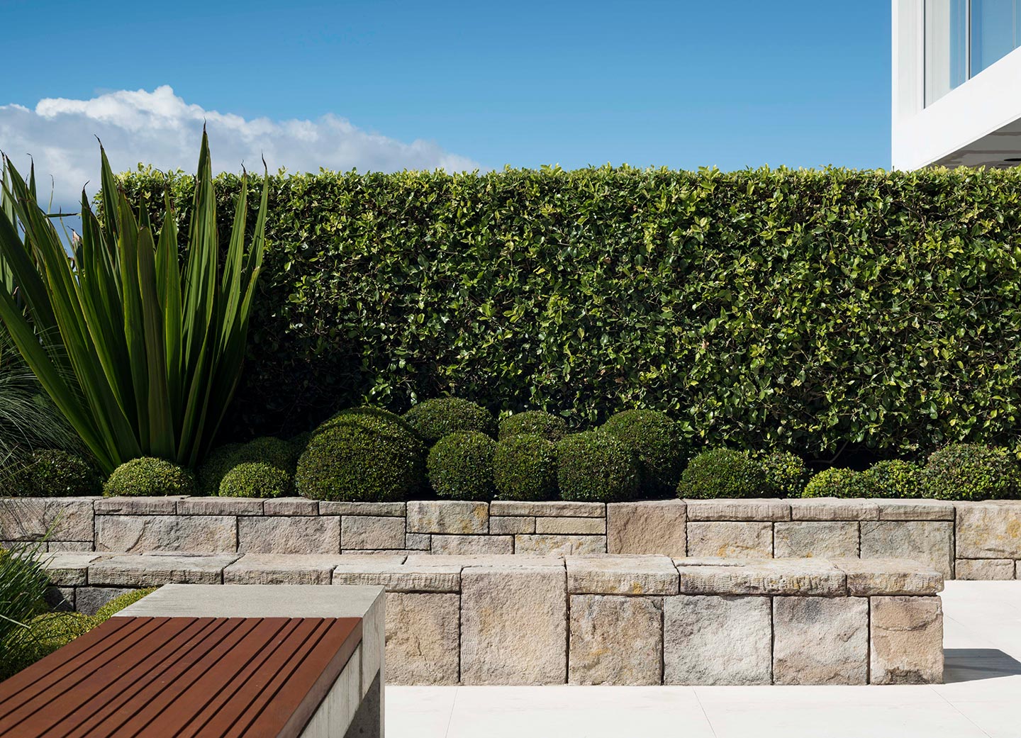 Hedge | Secret Gardens: Sydney Landscape Architecture