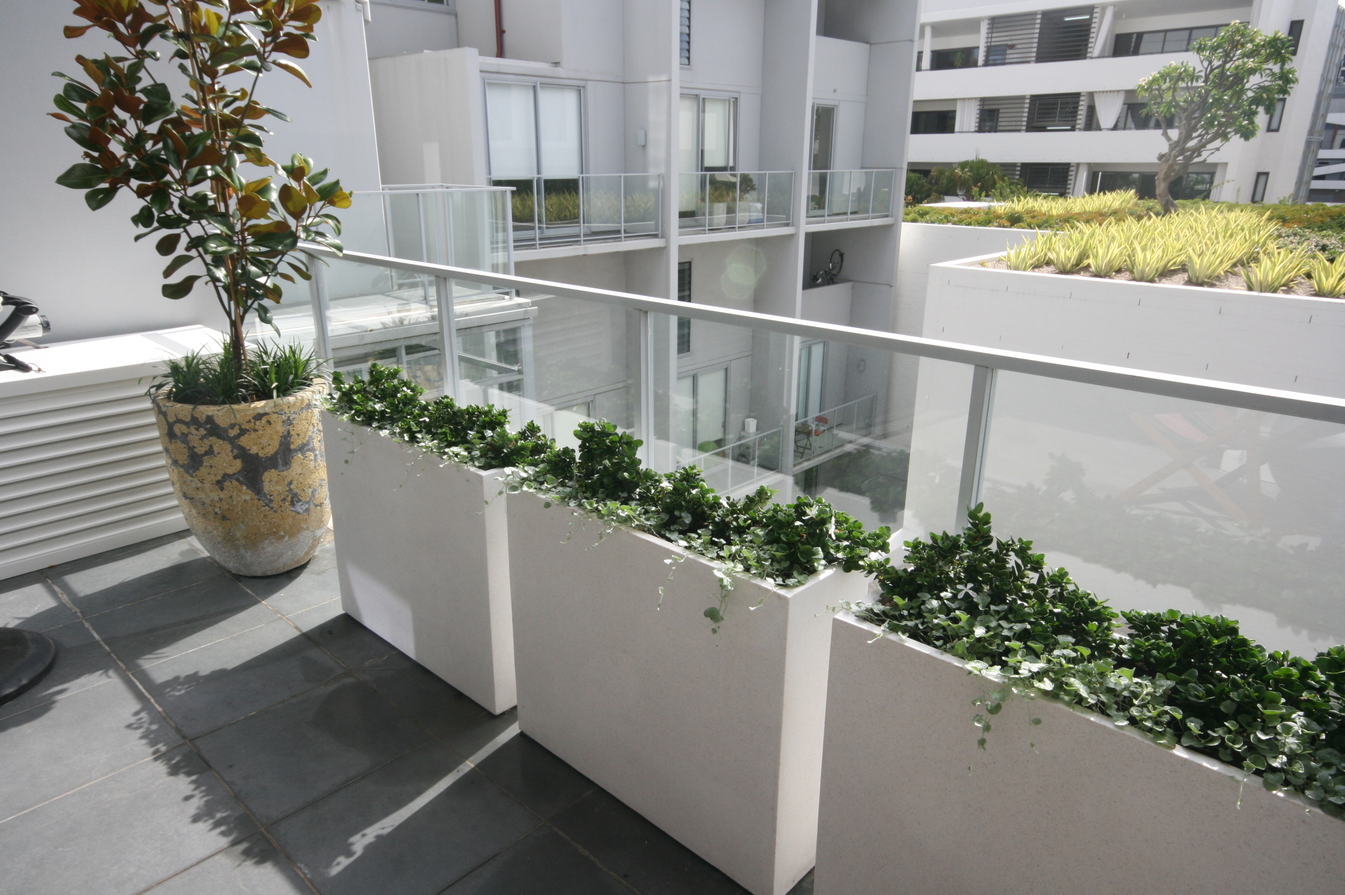 Balcony Garden | Secret Gardens: Sydney Landscape Architecture