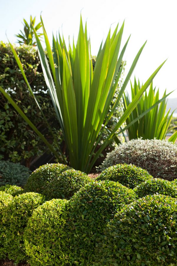 Texture in the Garden | Secret Gardens: Sydney Landscape Architecture
