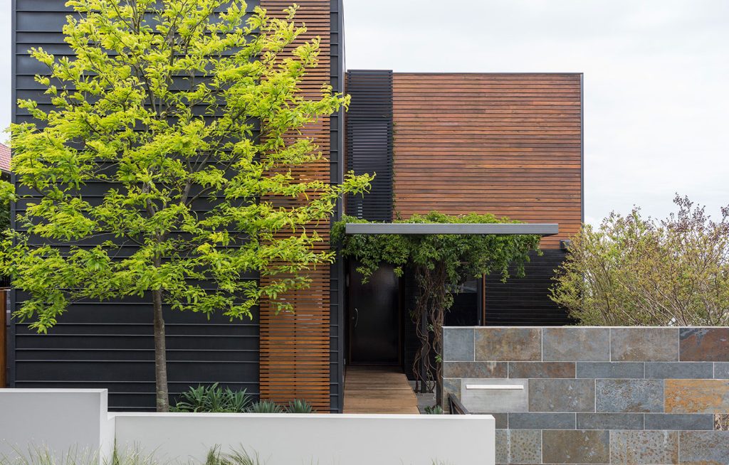 Statement Trees | Secret Gardens