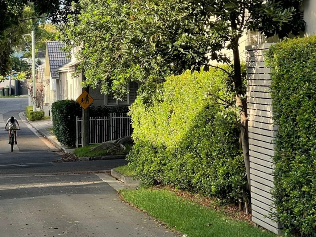 Borrowed Landscape: Making more of the humble laneway | Secret Gardens