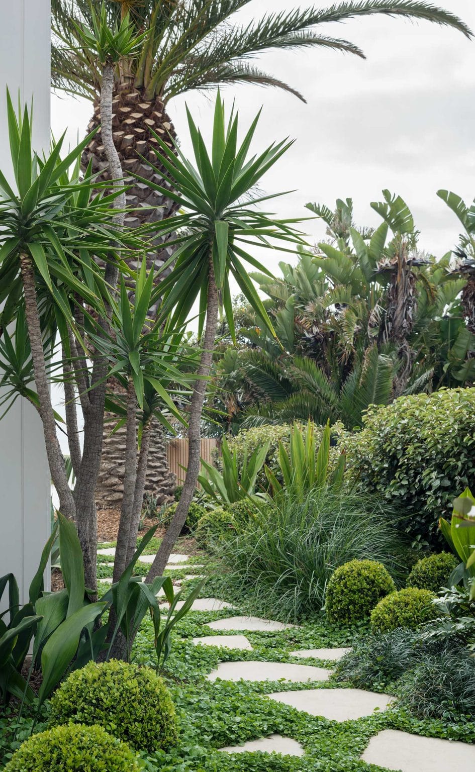 Dizzy Heights - Secret Gardens: Sydney Landscape Architecture