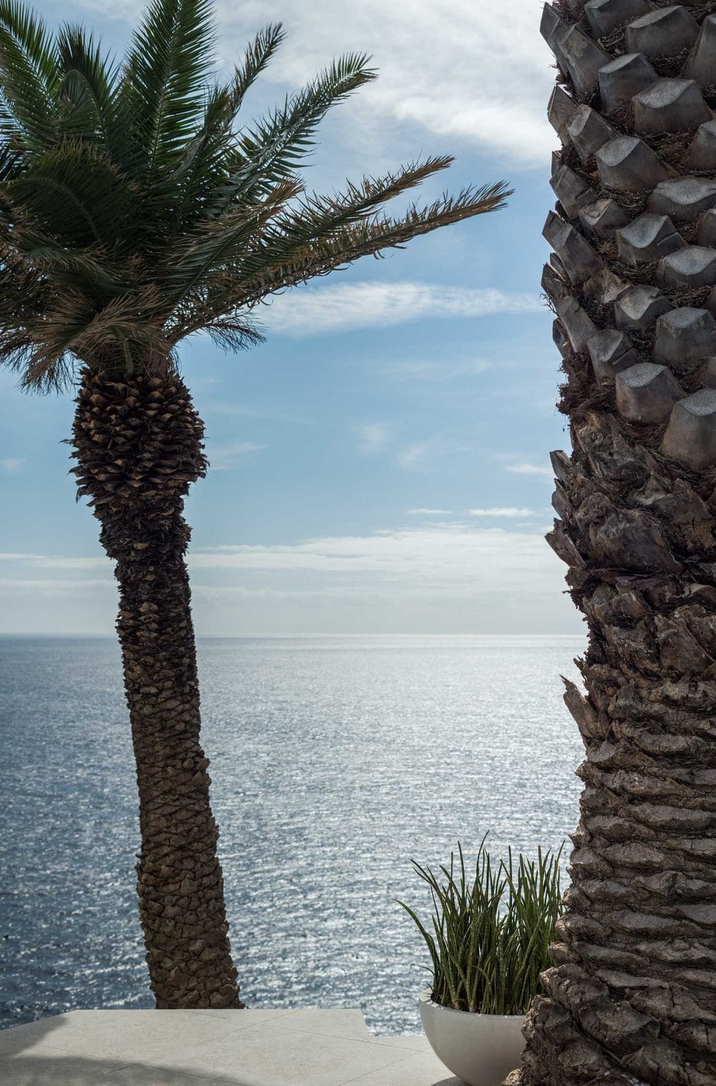 Dizzy Heights - Secret Gardens: Sydney Landscape Architecture