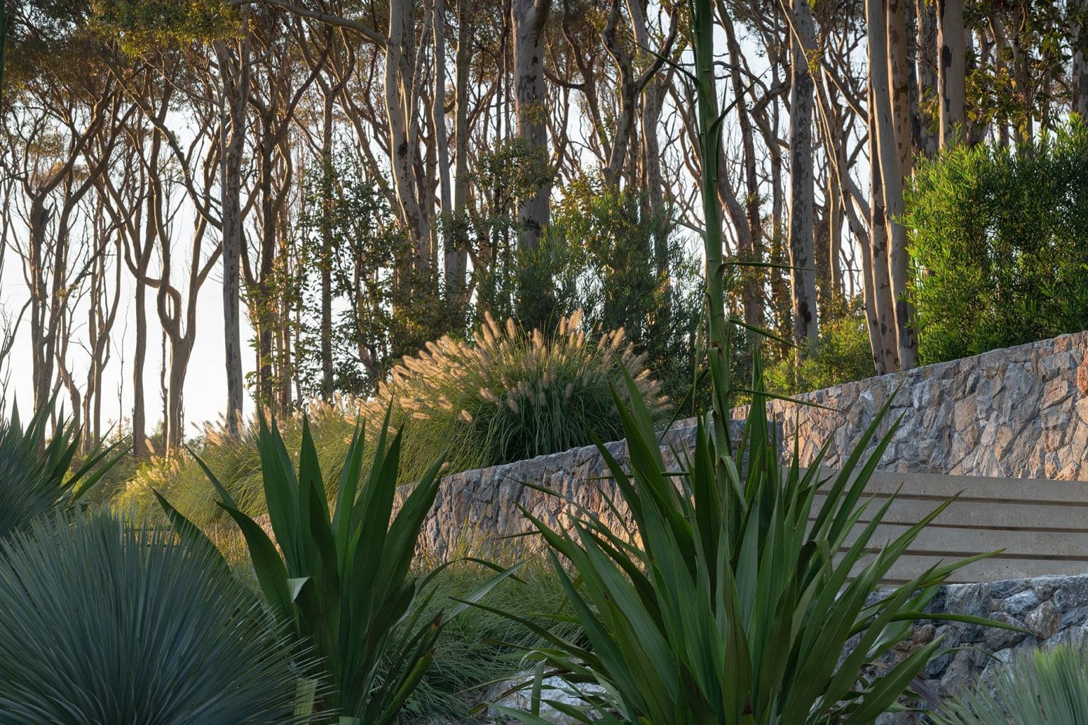 Bracken - Secret Gardens: Sydney Landscape Architecture